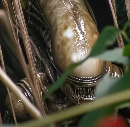 Sylvia's Xenomorph | Wiki Depredador AVP | Fandom