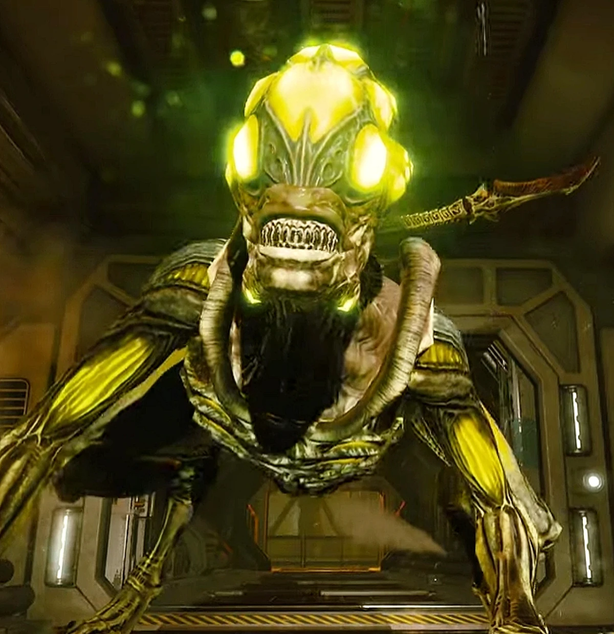 Burster | Wiki Depredador AVP | Fandom