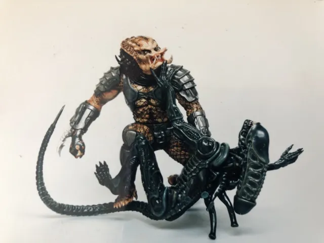 Aliens vs. Predator 1/6 Scale Vinyl Model Kit | Wiki Depredador AVP ...