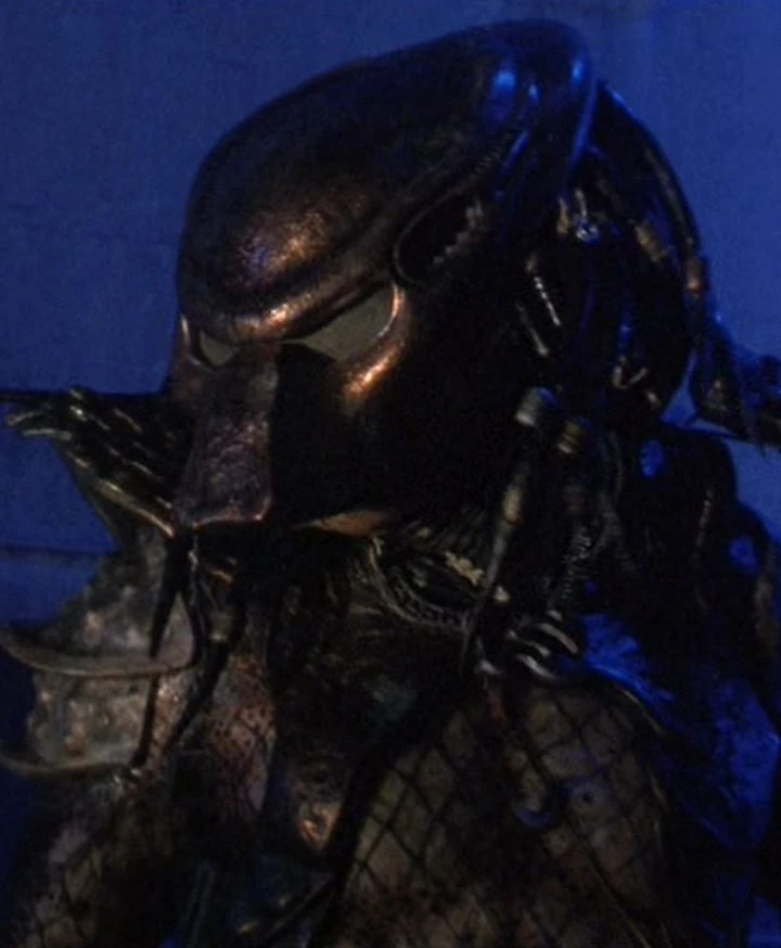 City Hunter | Wiki Depredador AVP | Fandom