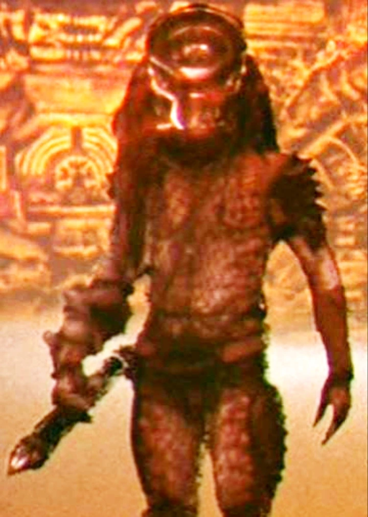 Stalker Predator | Wiki Depredador AVP | Fandom