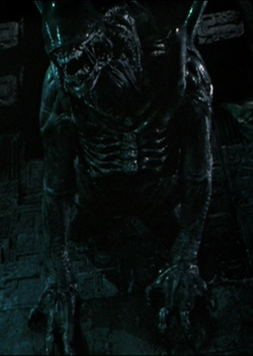 Scar's prey | Wiki Depredador AVP | Fandom