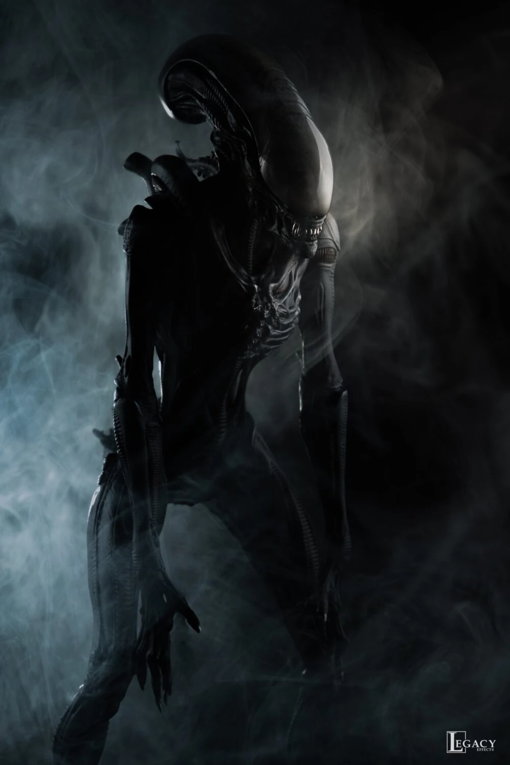 Xenomorfo (Renaissance) | Wiki Depredador AVP | Fandom