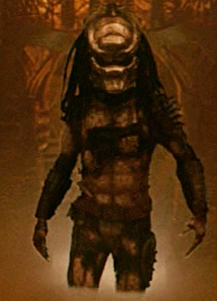 Boar Predator | Wiki Depredador AVP | Fandom