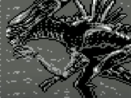 Reina Alien (Alpha Centauri 3) | Wiki Depredador AVP | Fandom