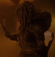 Raphael Adolini 1715 | Wiki Depredador AVP | Fandom