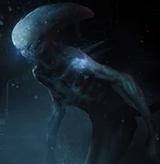 Neophyte | Wiki Depredador AVP | Fandom