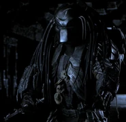 Scar Predator | Wiki Depredador AVP | Fandom