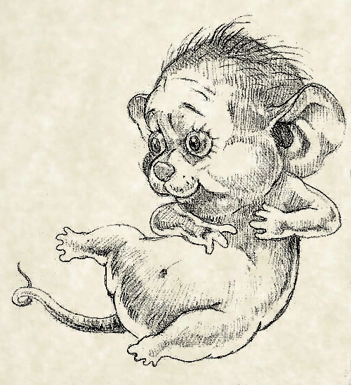 Sorrel Brown | The Deptford Mice Wiki | Fandom