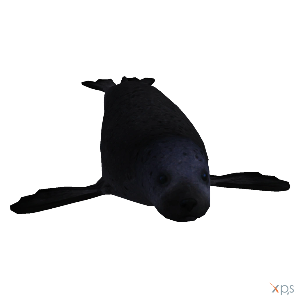 Seals | Depth Wiki | Fandom