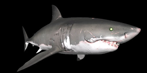 Shark Species | Depth Wiki | Fandom