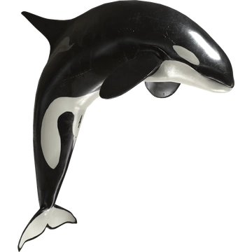 Orca (Great White) | Depth Wiki | Fandom