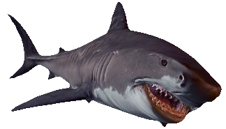 Tiger | Depth Wiki | Fandom