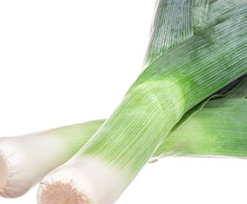 Paradox Poii | Depthless RPG Wiki | Fandom