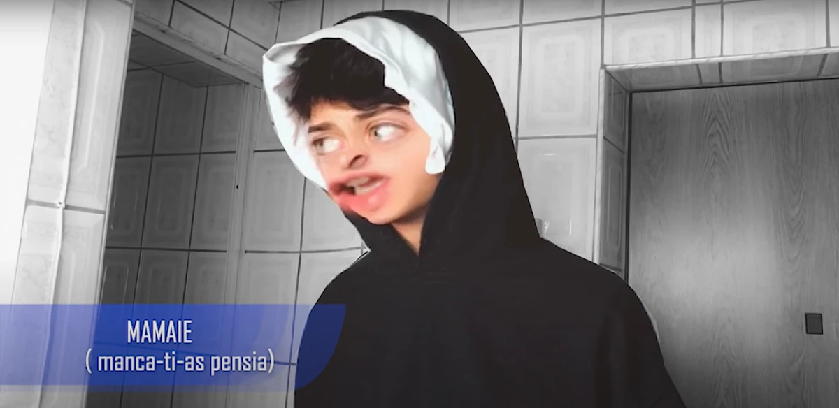 Mamaie Zamfiroaica | Dereglatii Wiki | Fandom