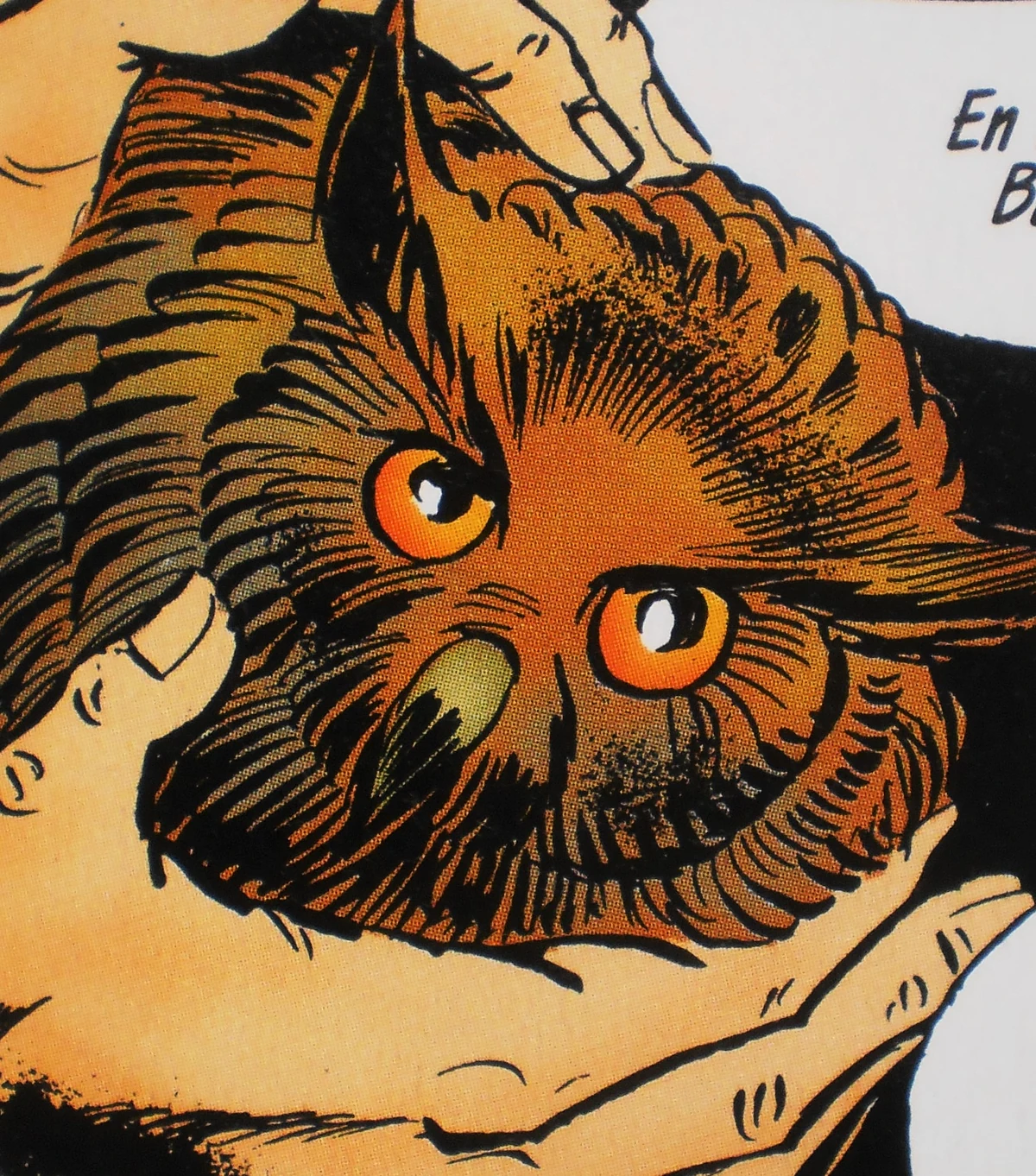 Baldur (Merlijn's uil) | De Rode Ridder Wiki | Fandom