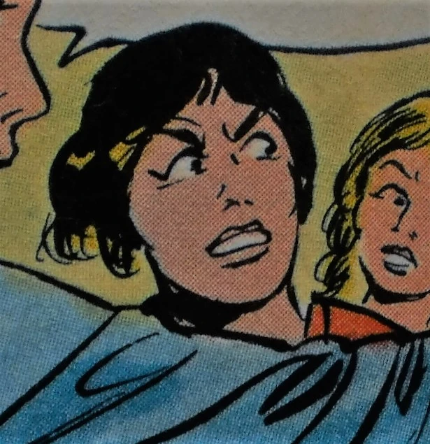 Johan (De Slavenmeester) | De Rode Ridder Wiki | Fandom