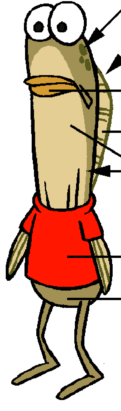 Incidental 105 | Descriptive Video Service Narrations: Monsters,Inc. Wiki | Fandom