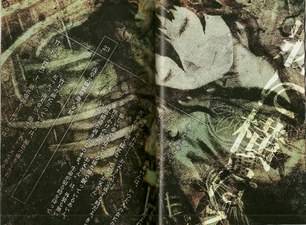 Despera (roman album)/gallery | Despera Wiki | Fandom