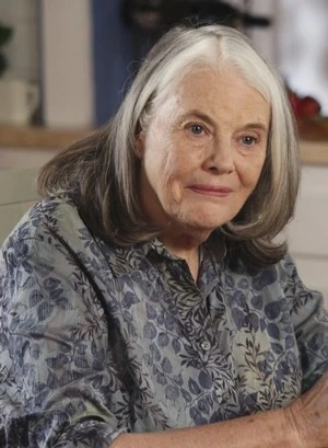 Allison Scavo | Desperate Housewives Wiki | Fandom