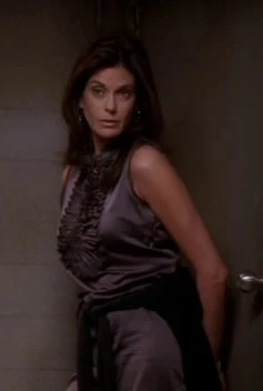 5x12 | Desperate Housewives Wiki | Fandom