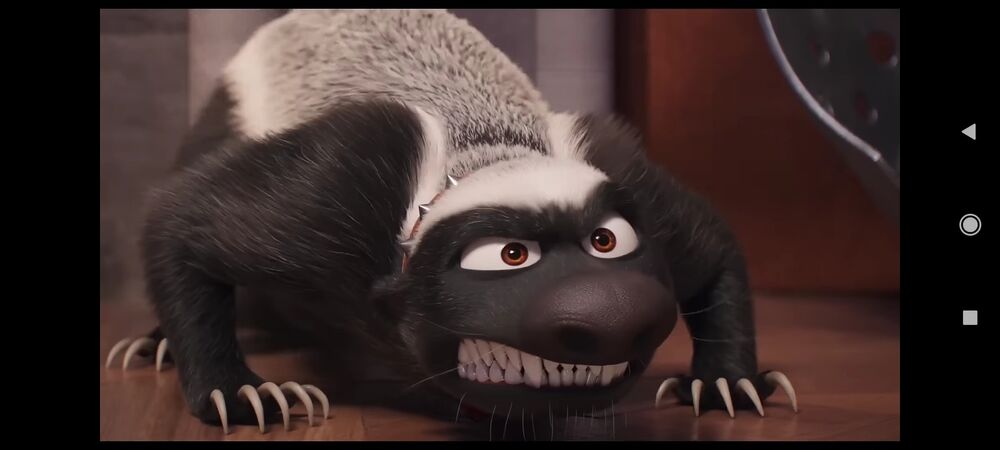 Honey Badger | Despicable Me Wiki | Fandom
