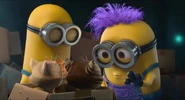 Ken | Despicable Me Wiki | Fandom