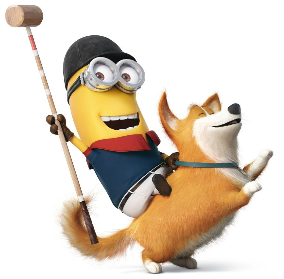 Minion Animated Dogs