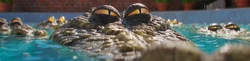 Wild Knuckles' Crocodiles | Despicable Me Wiki | Fandom