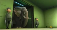 The Elephant | Despicable Me Wiki | Fandom