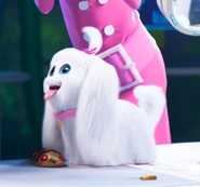 Fifi | Despicable Me Wiki | Fandom