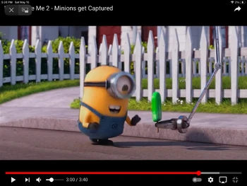 Steve | Despicable Me Wiki | Fandom