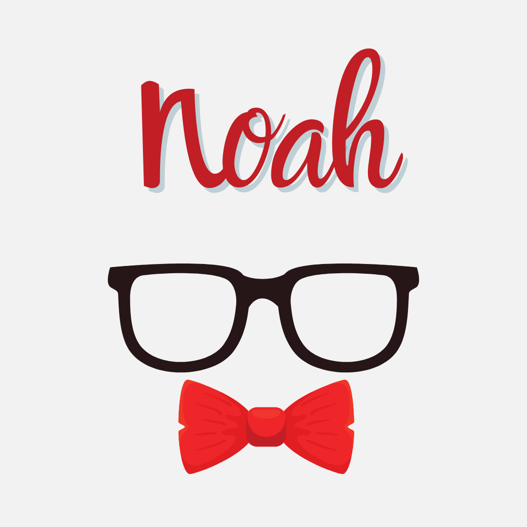 Noah Vaughn | Sarah Dessen Book Wiki | Fandom
