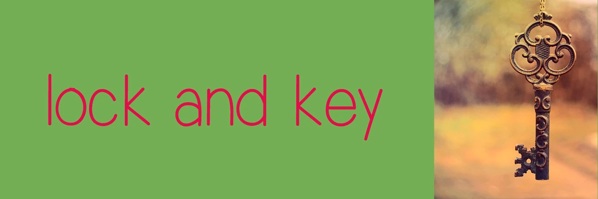 Lock and Key | Sarah Dessen Book Wiki | Fandom