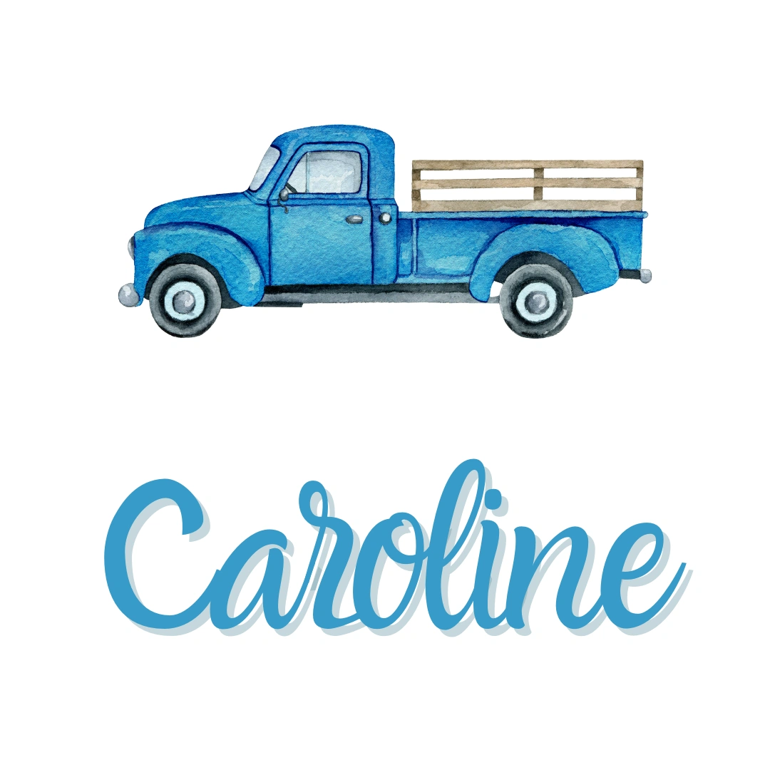 Caroline Queen | Sarah Dessen Book Wiki | Fandom