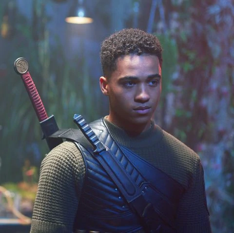 Dane | Wiki Destin: La Saga des Winx | Fandom