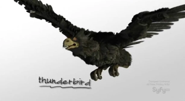 Thunderbird | Destination Truth Wiki | Fandom