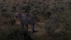 Mngwa | Destination Truth Wiki | Fandom