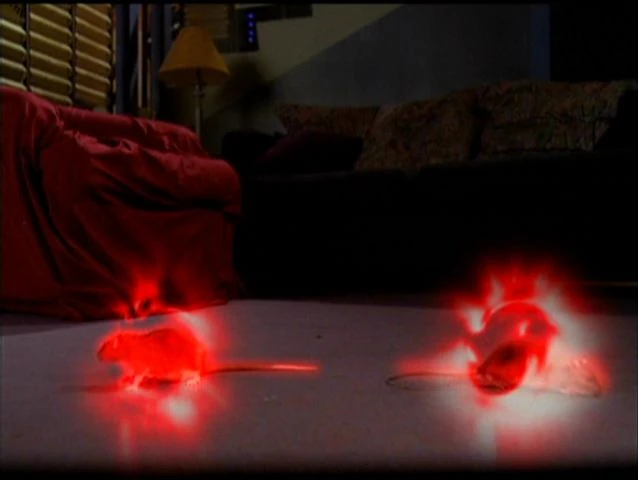 Rat Warlock | Destined-The Next Generation of Charmed Wiki | Fandom