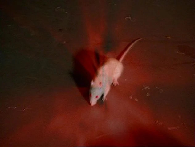 Rat Demon | Destined-The Next Generation of Charmed Wiki | Fandom