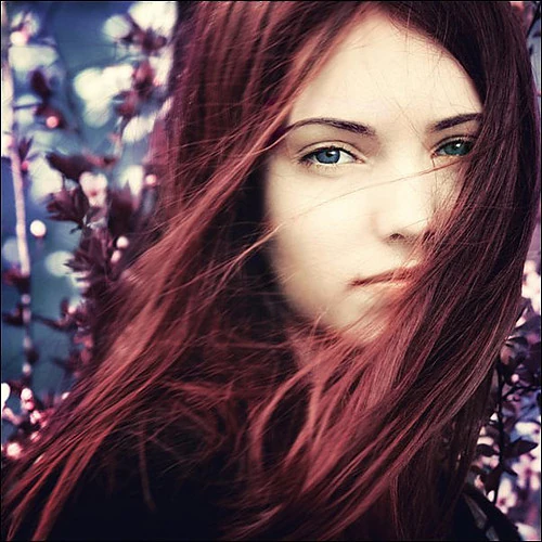 Category:Main characters | Destiny Wiki | Fandom