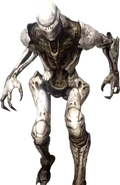 Especies | Destinypedia | Fandom