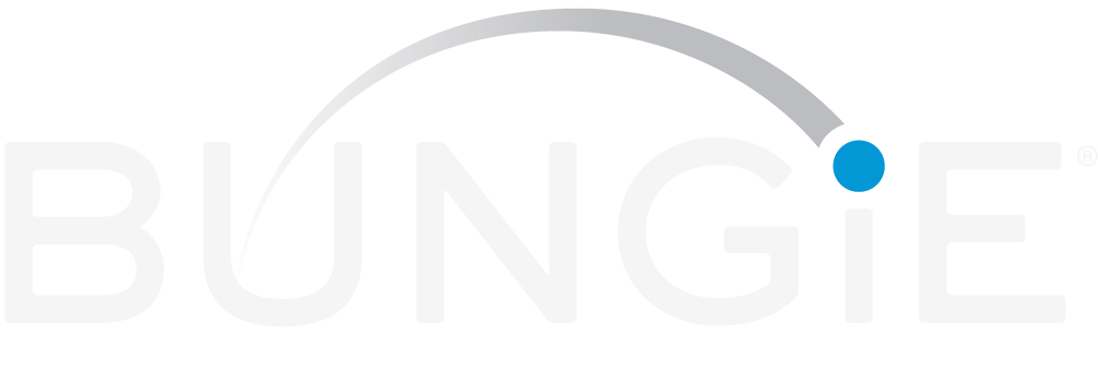 Bungie | Destiny Wiki | Fandom