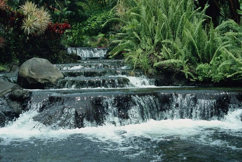 Waterfall | Destiny and Faith Wiki | Fandom