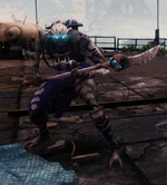 Fallen | Destiny Collectors Wiki | Fandom