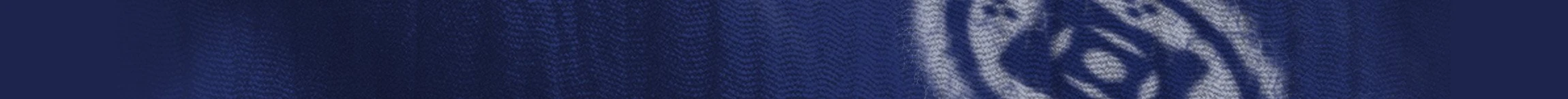 Threads of Light | Destiny Collectors Wiki | Fandom