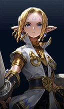 Destiny Knights Wiki | Fandom