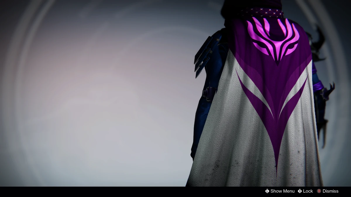 Nightstalker's Cloak | Destiny Wiki | Fandom