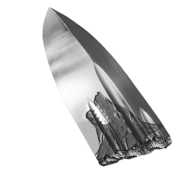 Radegast's Blade | Destiny Wiki | Fandom