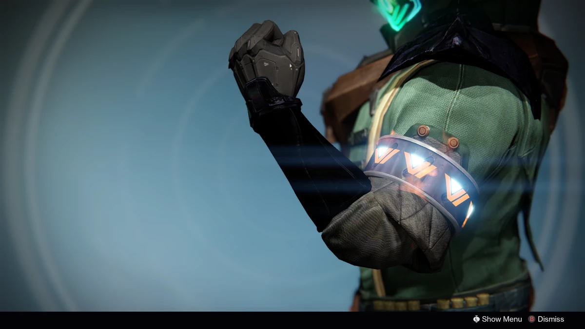 Ice Age Bond | Destiny Wiki | Fandom